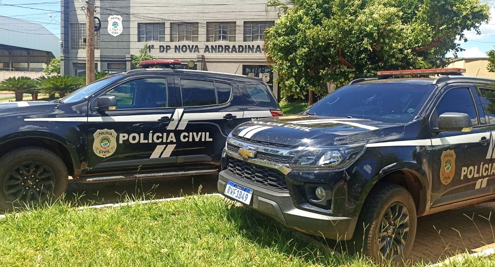 Casal é denunciado por abandono de cachorra em via pública de Nova ...